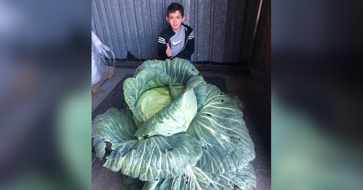 Stockton 3rd Grader Wins $1,000 Education Bond For Growing 57-Pound ...