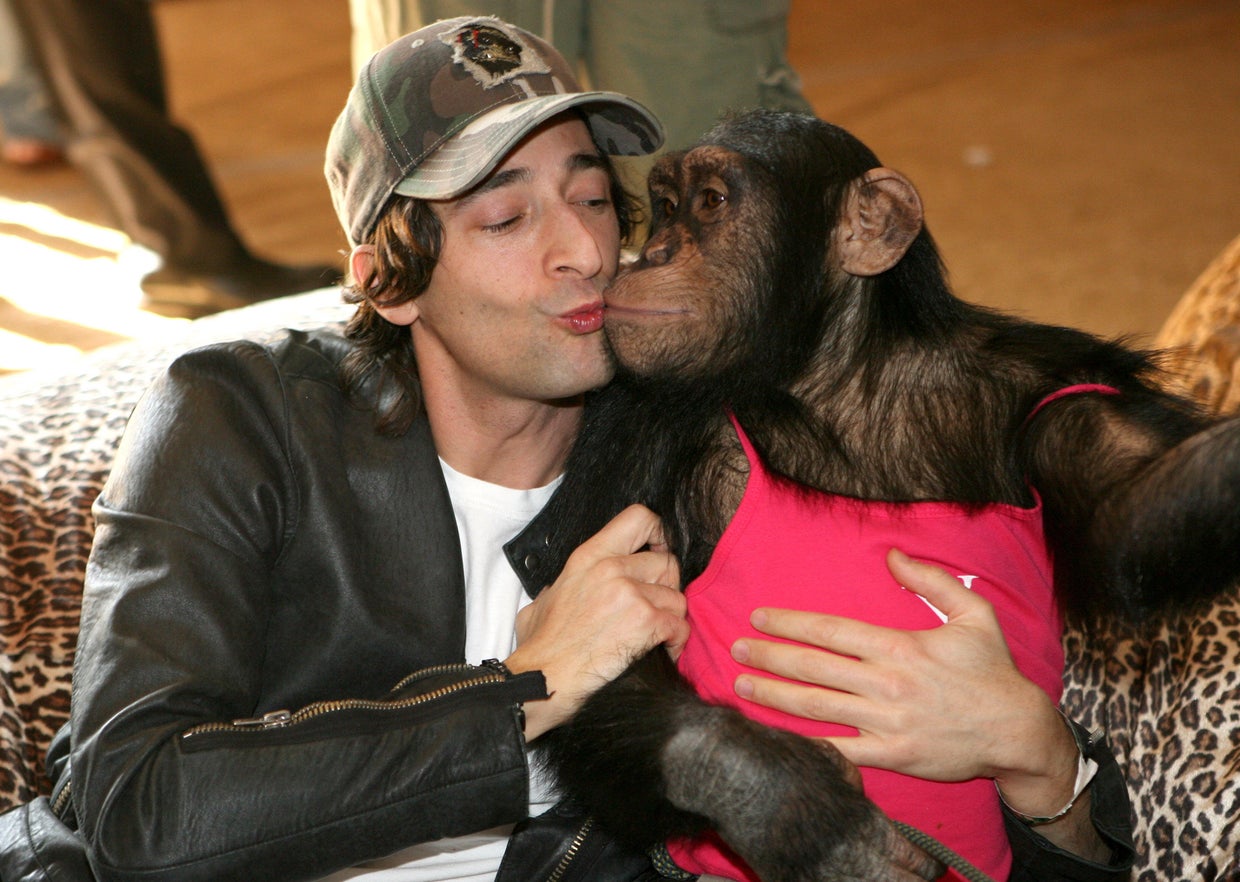 Animals doing people things