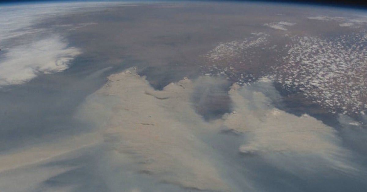 CU Denver Professor Brian Buma: Studying Australia Fires Can Help ...