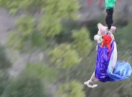 "Pig bungee jump" at China theme park draws outrage, accusation of ...