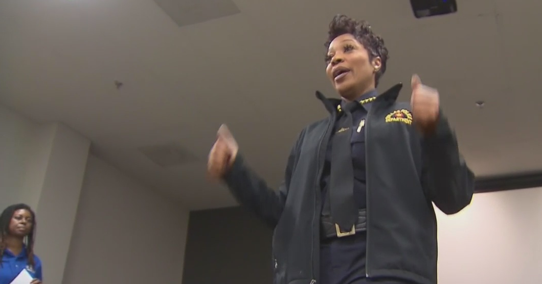 Campaign Of Support Growing In South Dallas For Police Chief Renee Hall ...