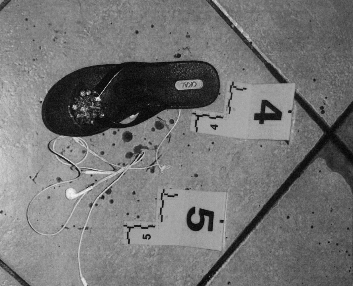 Evidence in the murder of Dr. Teresa Sievers