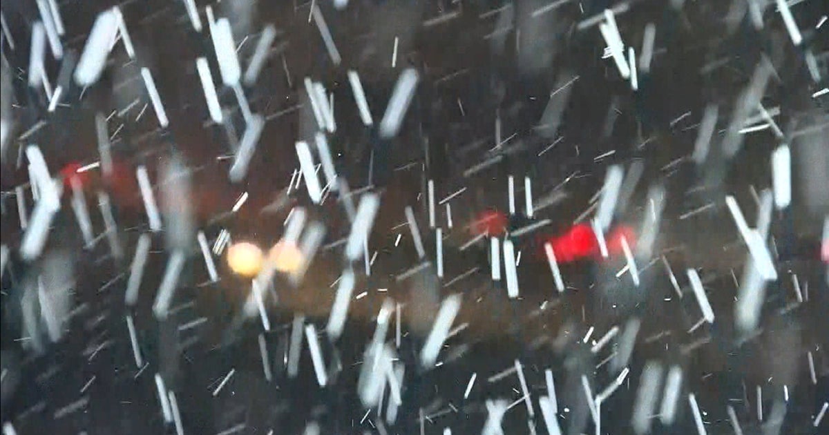 Denver Inching Toward New All-Time February Snow Record - CBS Colorado
