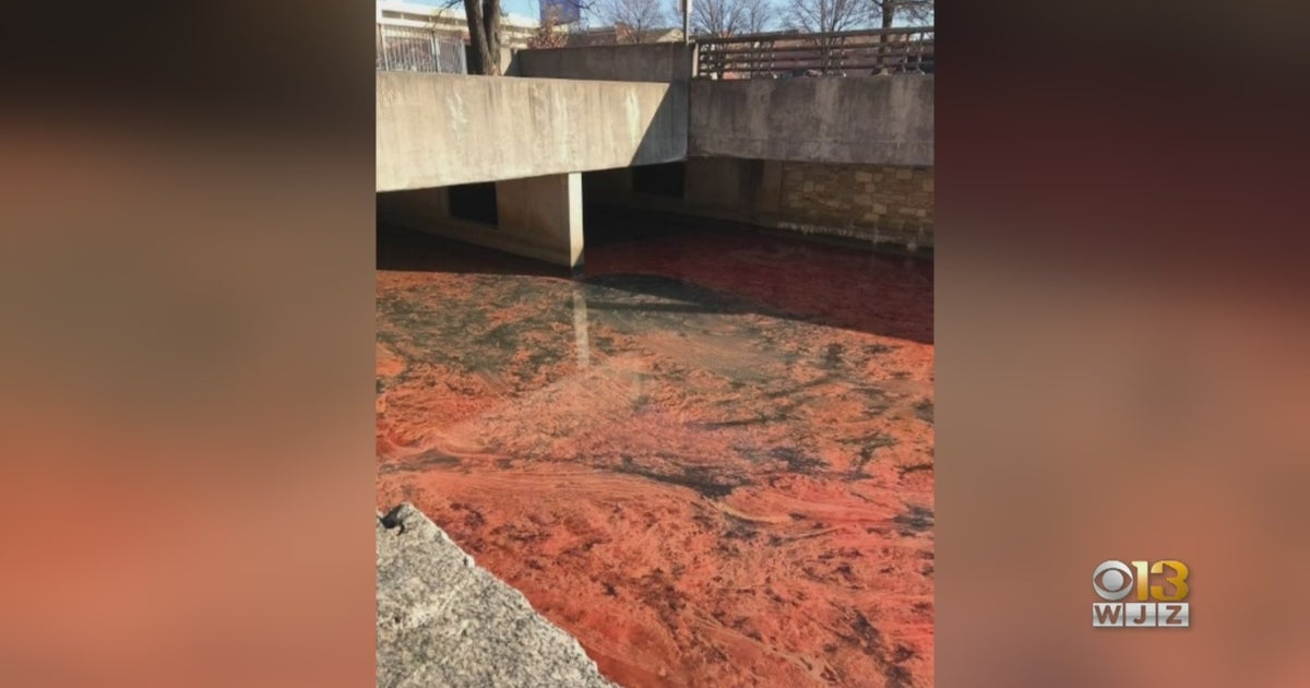 With Inner Harbor Oil Spill Mostly Cleaned Up, Officials Turn Focus To ...