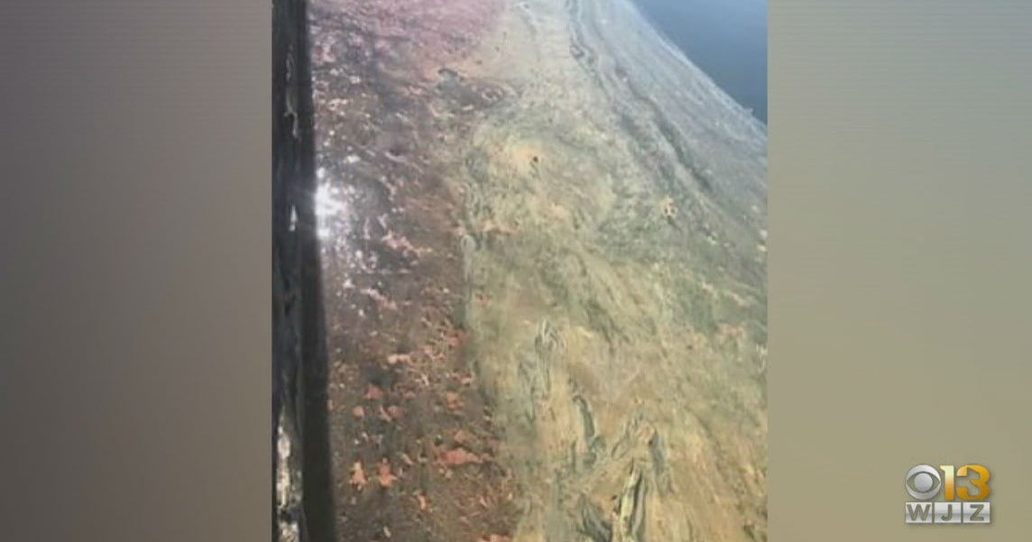 Crews Continue To Search For Source Of Oil Spill In Baltimore Inner ...