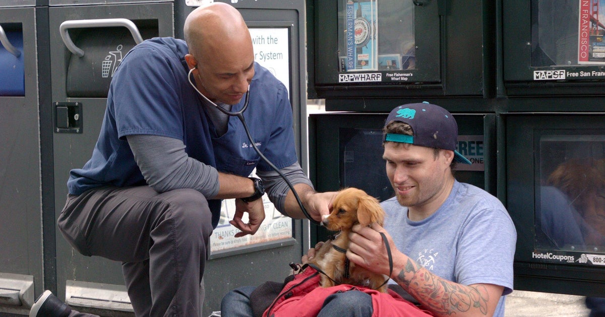 "The Street Vet" walks around California, offering free check-ups for ...