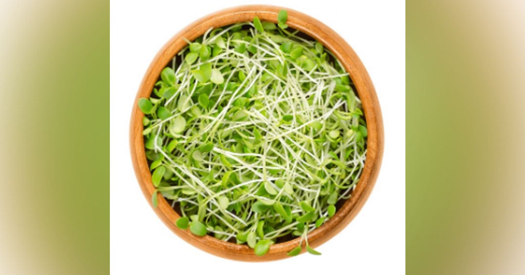 CDC: E. Coli Illnesses Linked To Clover Sprouts At Some Jimmy John's ...
