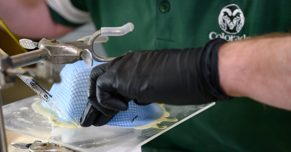 Coronavirus In Colorado: CSU Engineering Lab Testing Medical PPE - CBS ...