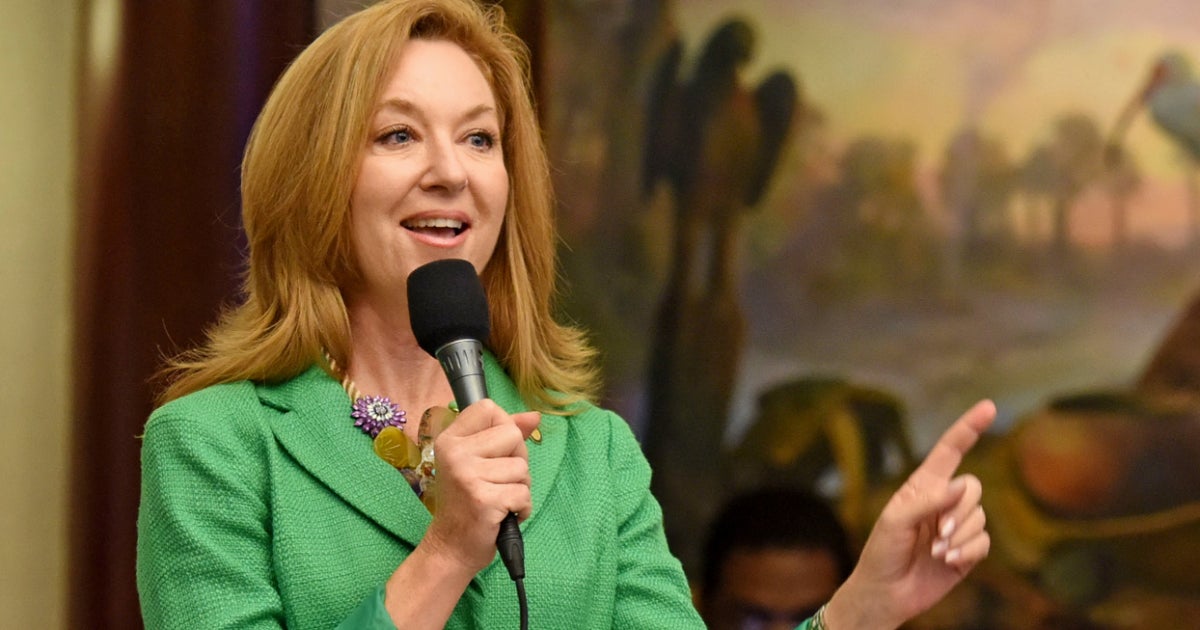 Florida Rep. Kristin Jacobs Dies Of Cancer - CBS Miami