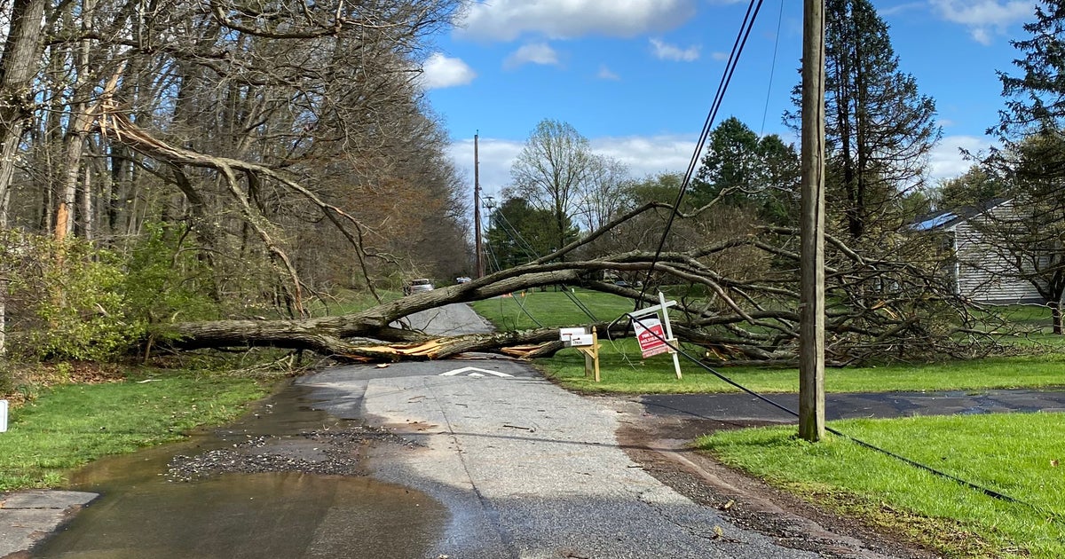 Photos: Severe Storm Damage In Maryland