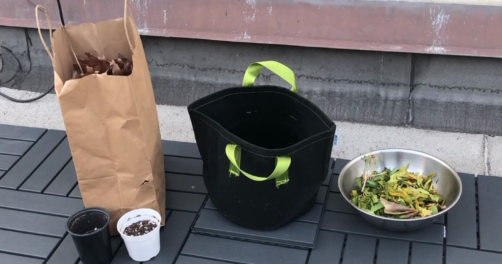 Earth Day At Home: Start Your Own Rooftop Compost