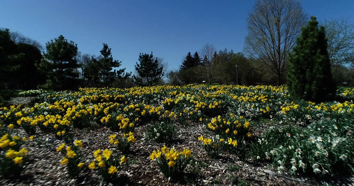 University Of Minnesota Landscape Arboretum - CBS Minnesota