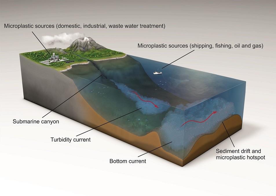 Researchers uncover highest-ever amount of microplastics on ocean floor ...