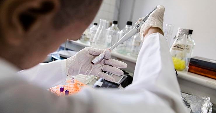 Roche gets approval for coronavirus antibody test as FDA vows closer ...