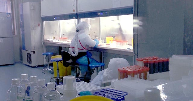 Coronavirus researcher has funding cut, says politicization of science ...