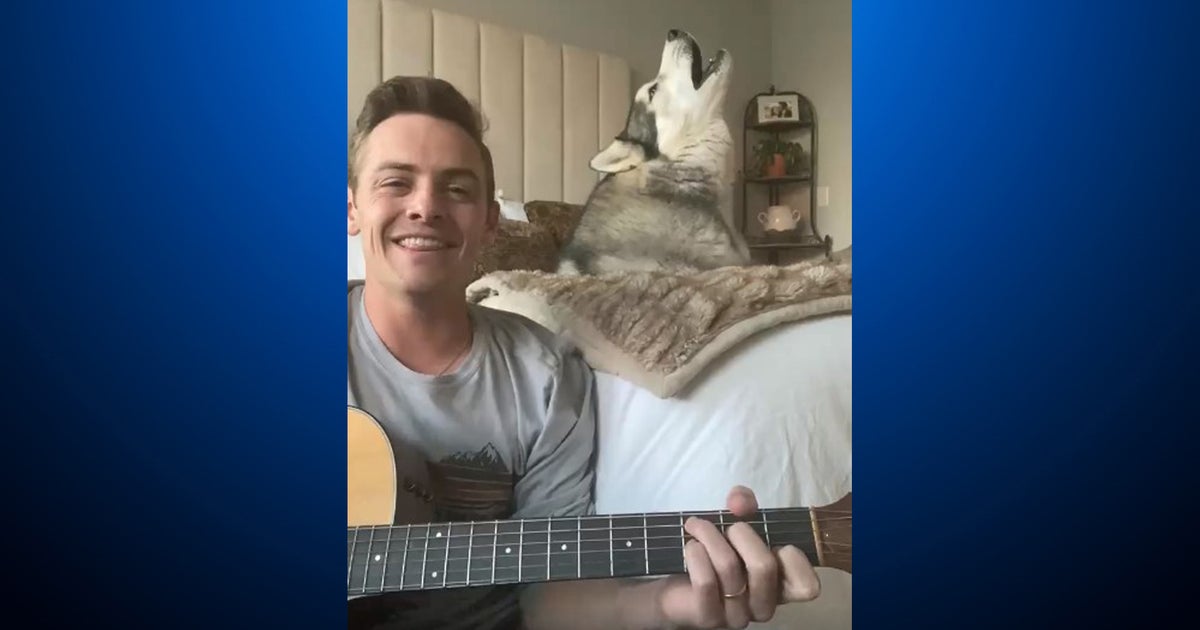 'Lean On Me': Husky Harmonizes With Favorite Health Care Worker - CBS ...