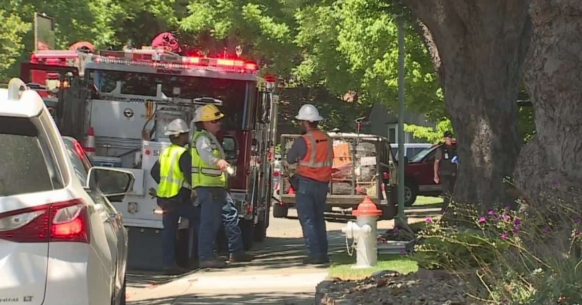 Tree Trimmer Who Died Working Near Power Lines Above Land Park Home ...