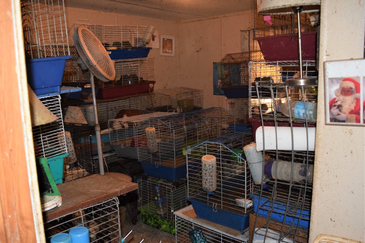 600 Pounds Of Feces Removed From Cages Along With 124 Animals, 'Worst ...
