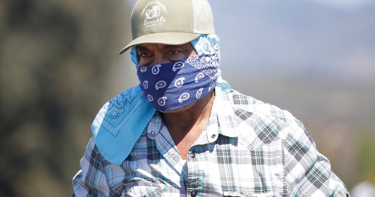 Farm Workers Strike In Central Valley After Dozens Stricken By COVID-19 ...
