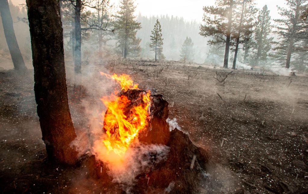 Hog Fire In NorCal Grows To 9,400 Acres As Firefighters Contend With ...