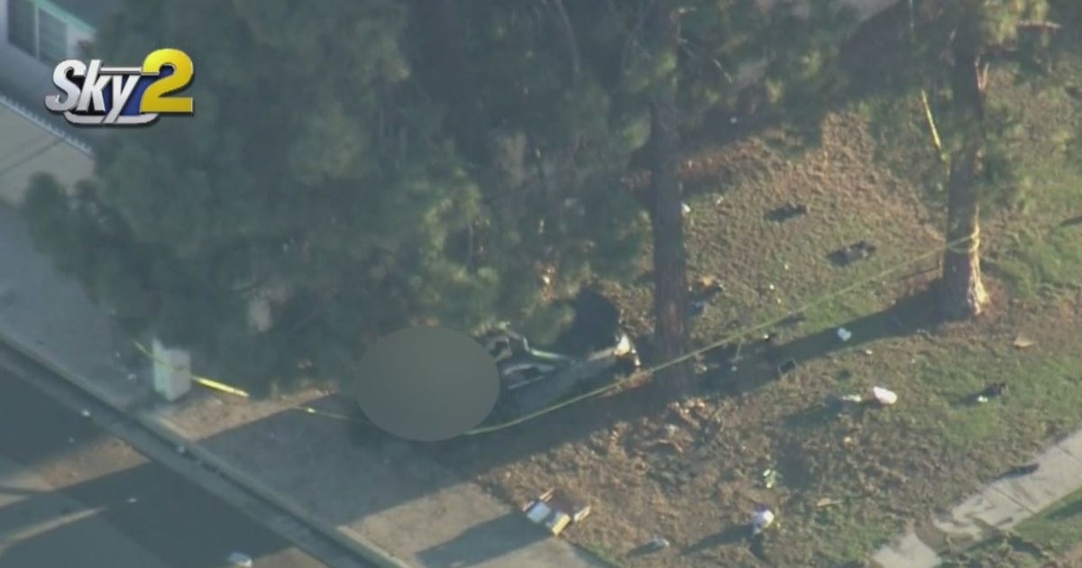 2 Suspects Killed, 1 Injured After Pursuit Ends In Wreck In Garden ...