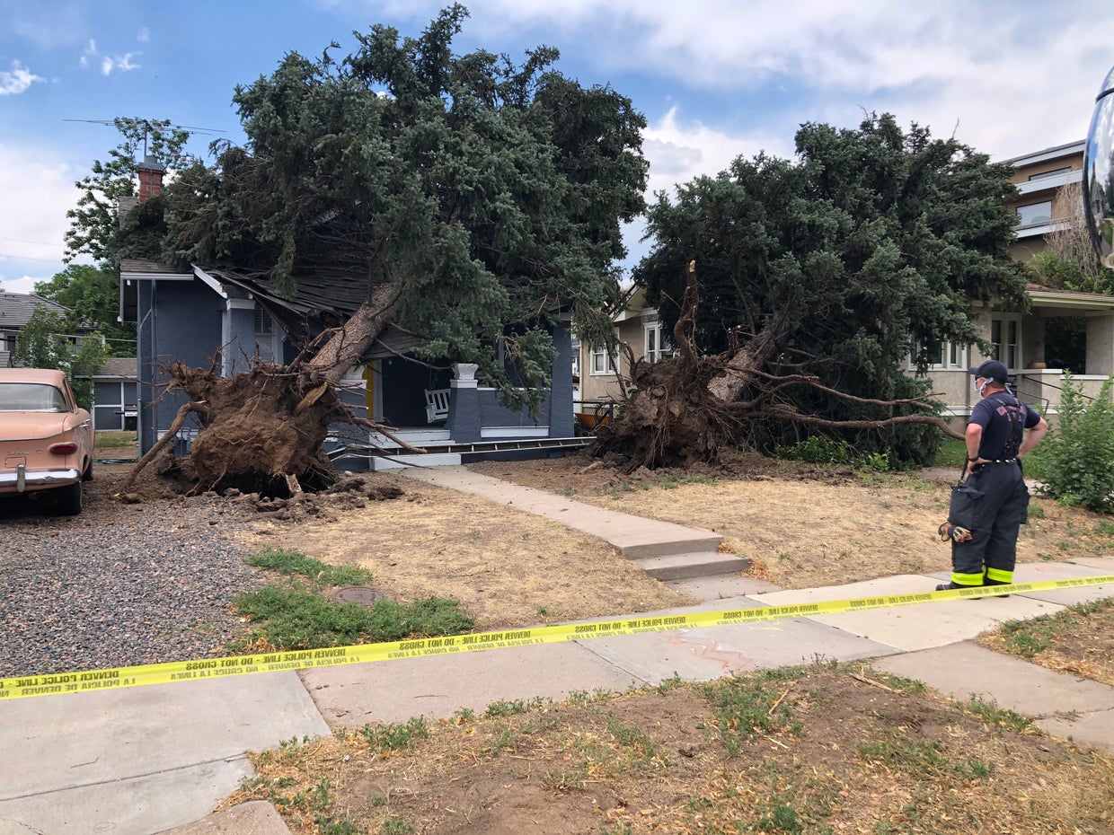Power Outages, Tree Damage Reported After Dry Microburst Hits South ...