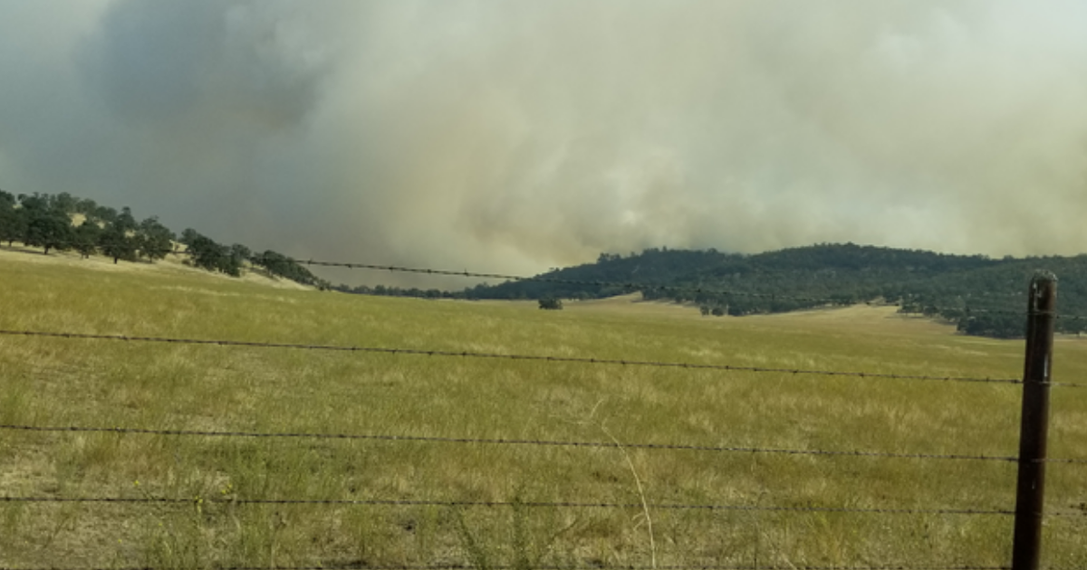 Vegetation Fire Burns 1,500-Acres Near Salt Springs Valley Reservoir In ...