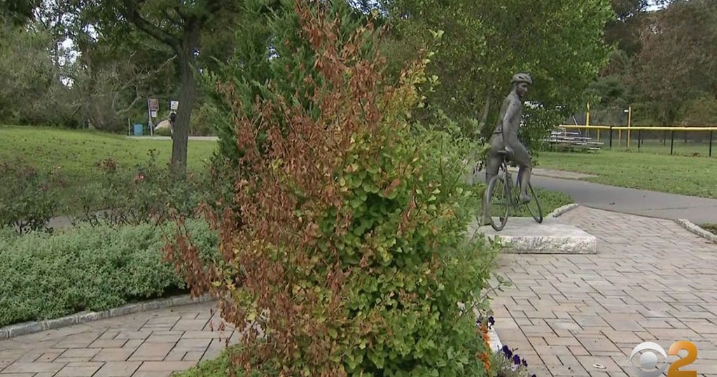 Gardening 101: Heat Stress on Your Trees - CBS Texas