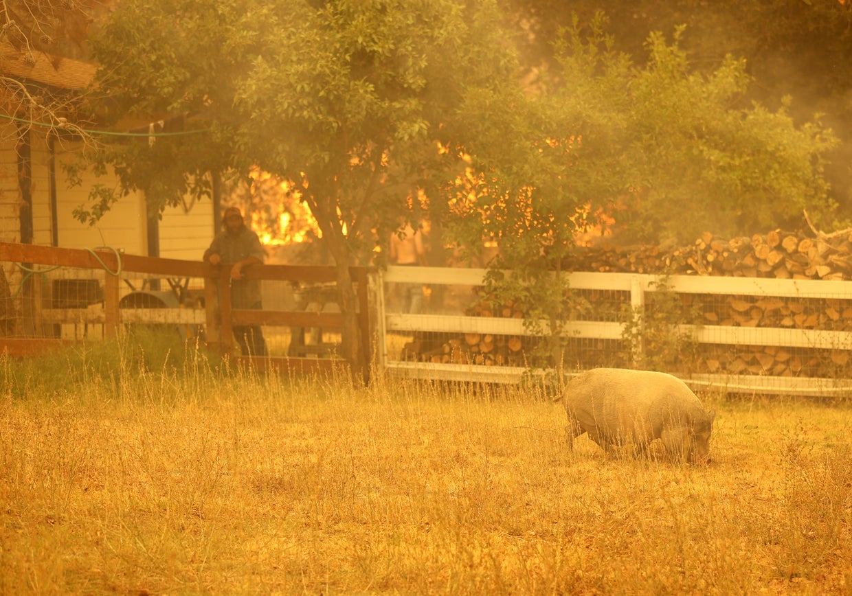 California fires 2020: Homes burn, thousands evacuated