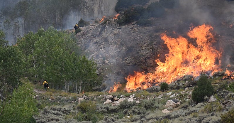 Widespread Rain Helps Cameron Peak From Growing Very Much - CBS Colorado