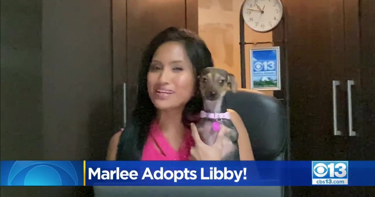 Abandoned 2-Legged Puppy Finds Forever Home Through CBS13 - CBS Sacramento