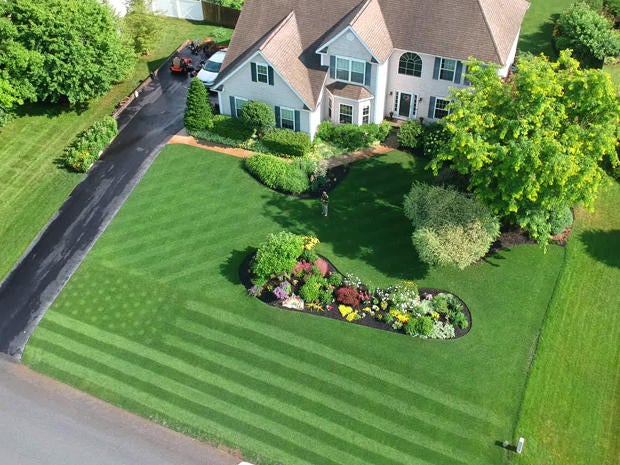 Maintaining a perfect lawn in a world turned upside-down - CBS News