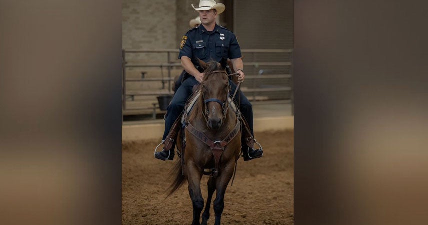 Veteran Fort Worth Police Mounted Patrol Horse 'Jake' Dies After ... Veteran Fort Worth Police Mounted Patrol Horse 'Jake' Dies After ...