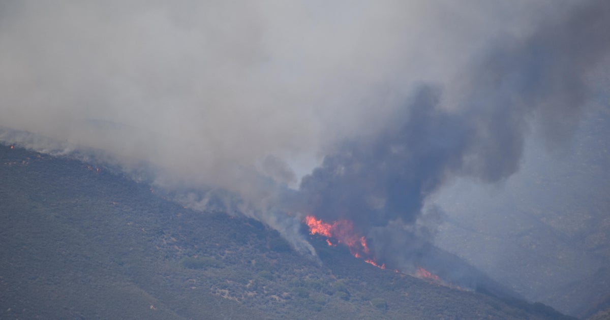 August Complex In Mendocino Forest Becomes California's Largest Ever ...