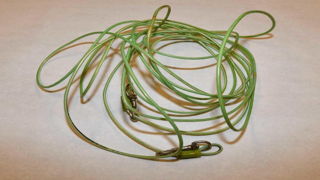 Timeline: Shanti Cooper murder case