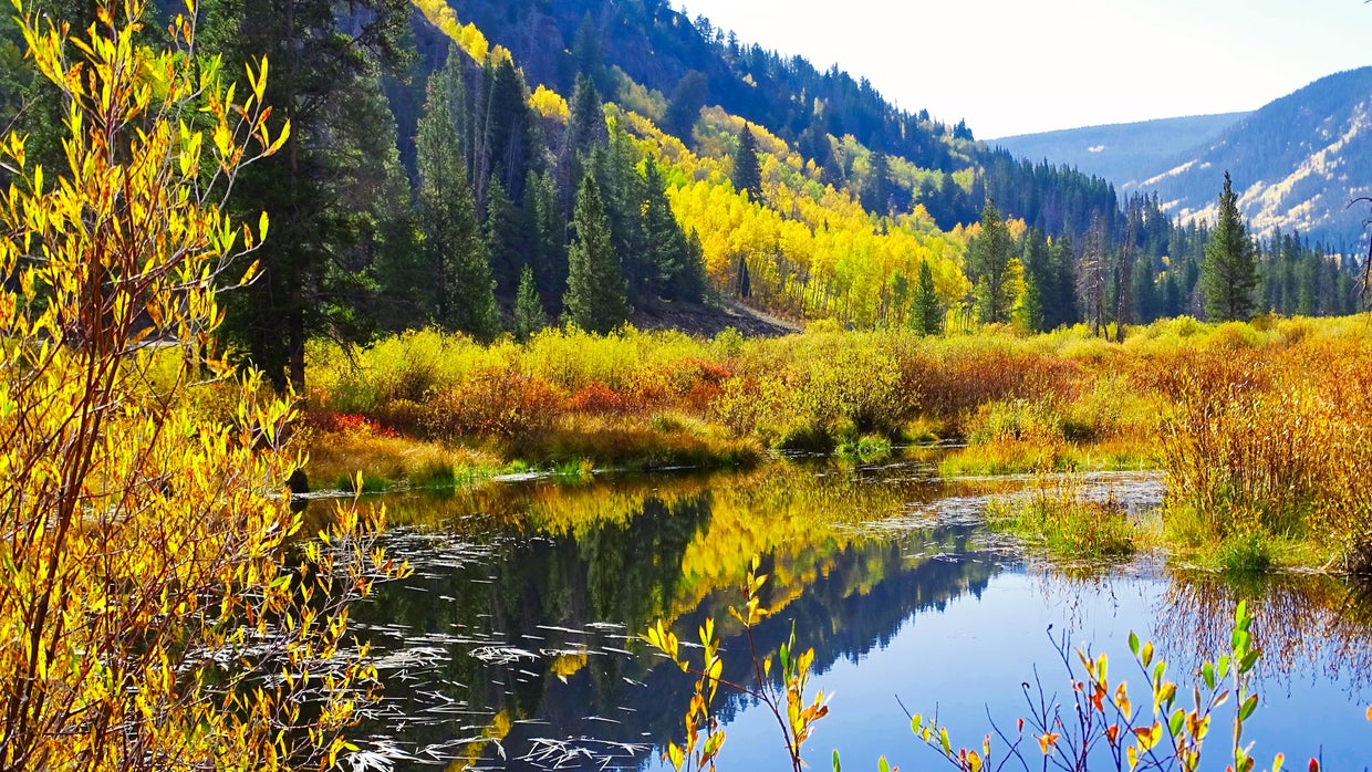 Fall Colors In Colorado 2020