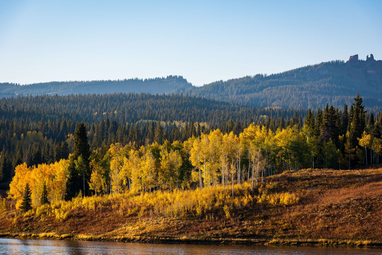 Fall Colors In Colorado 2020