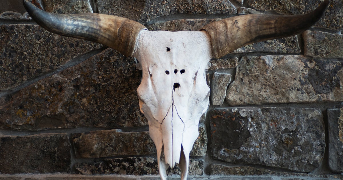 Dallas 2020 Cattle Barron's Ball Online Auction - CBS Texas