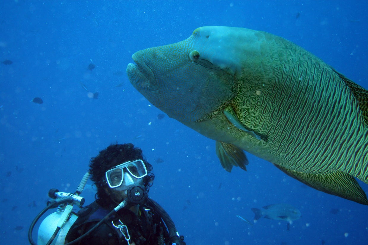 The most endangered species on Earth