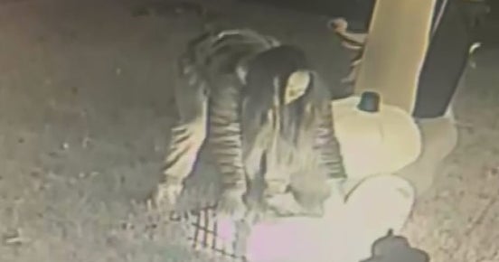 Halloween Grinch Caught On Camera Stealing Lawn Display In Midlothian ...