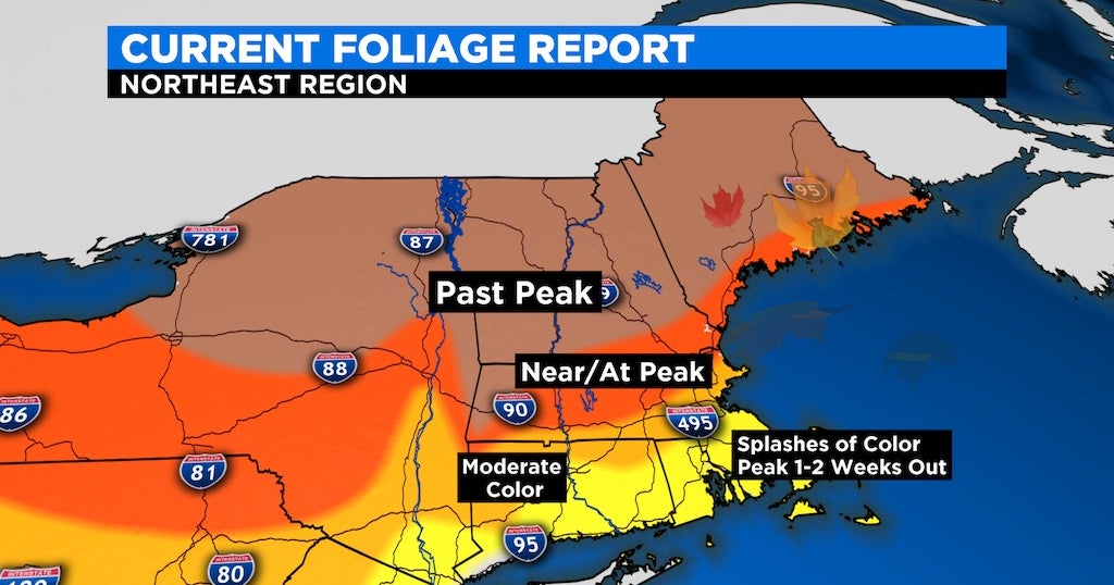 Fall Foliage Peak In Northern Massachusetts, Southern NH This Weekend ...