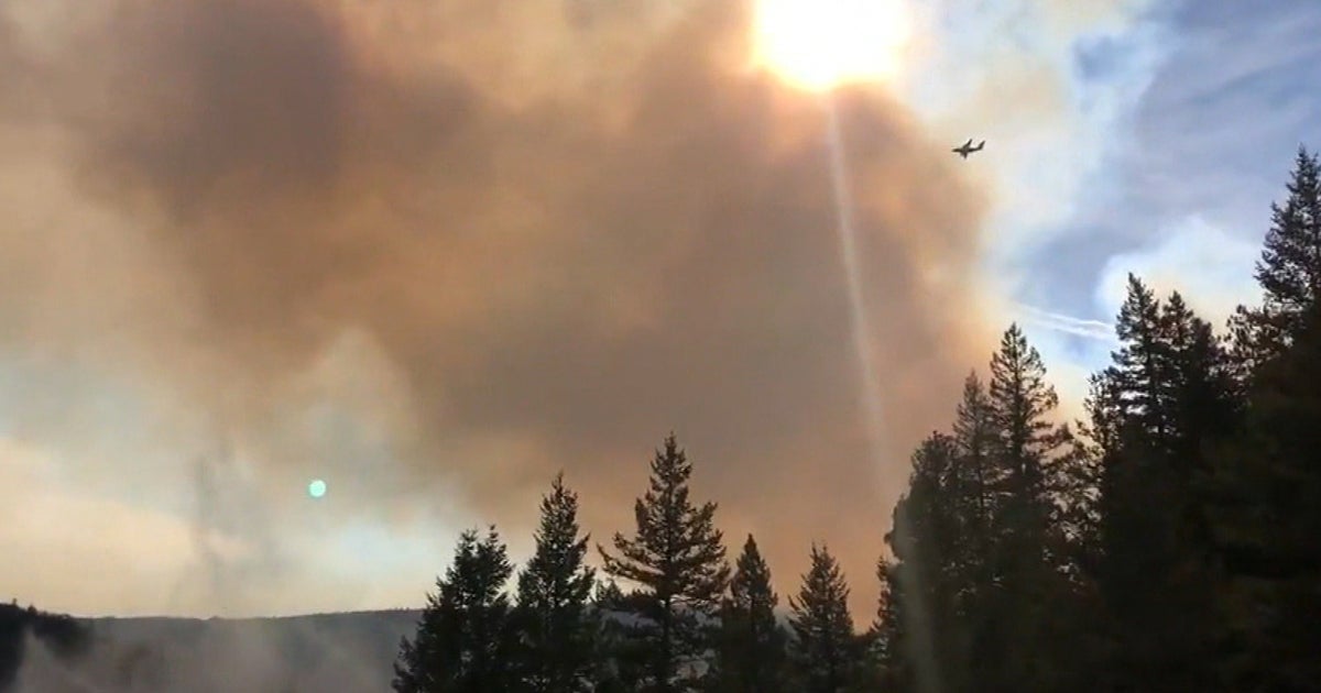 Lefthand Canyon Fire Forces Evacuations In Town Of Ward - CBS Colorado