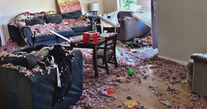'Insulation And Debris Everywhere': Garland Family Recalls Tornado ...