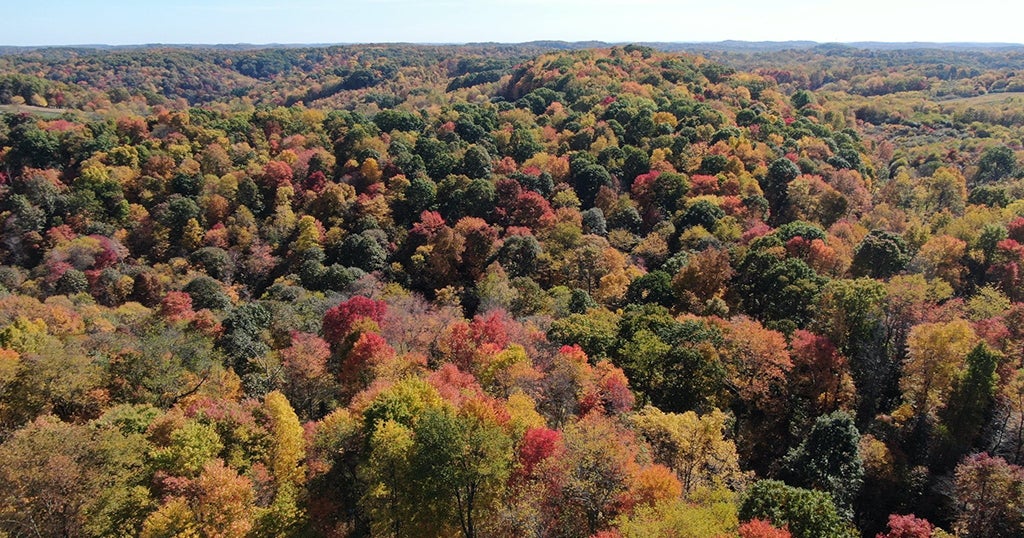 Fall Foliage Report: Best colors expected in ridges this upcoming ...