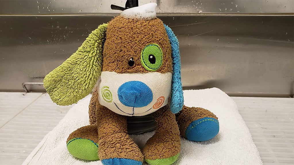 Little Boy Loses Stuffed Puppy Near Dog Spa, Groomers Decide To Give ...