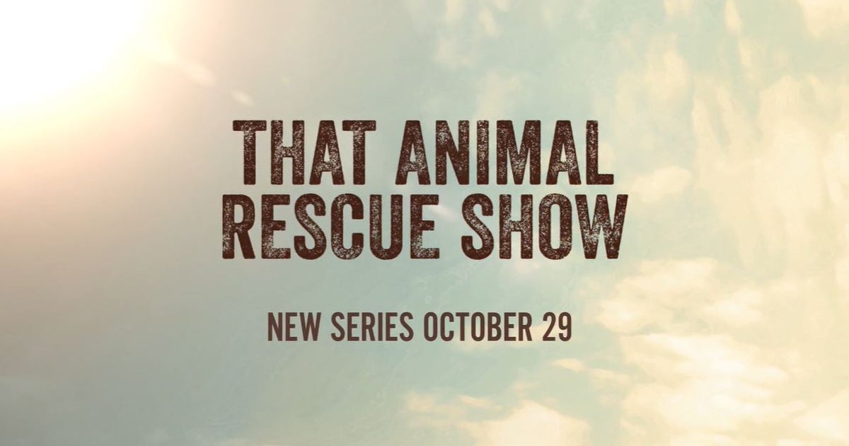Richard Linklater On CBS All Access' 'That Animal Rescue Show': 'A Fun ...