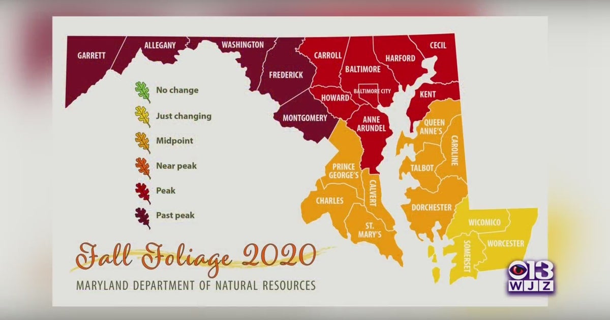 Fall Foliage At Peak In Baltimore Area, Past In Western Maryland - CBS ...