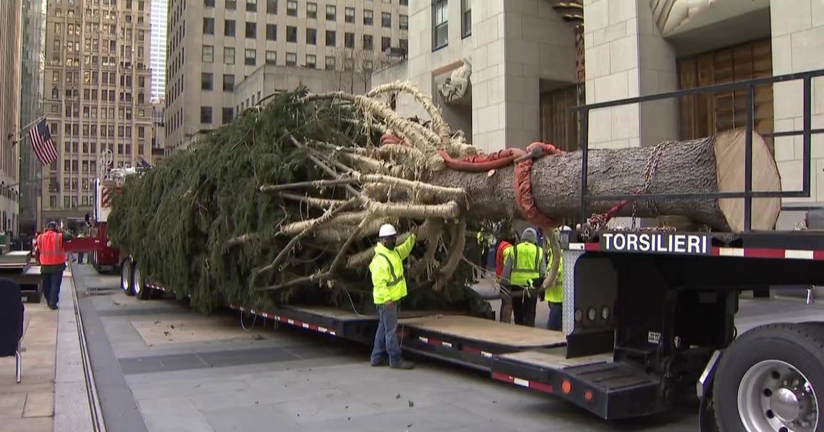 Christmas Tree Arrives At Rockefeller Center, Complete With Police ...
