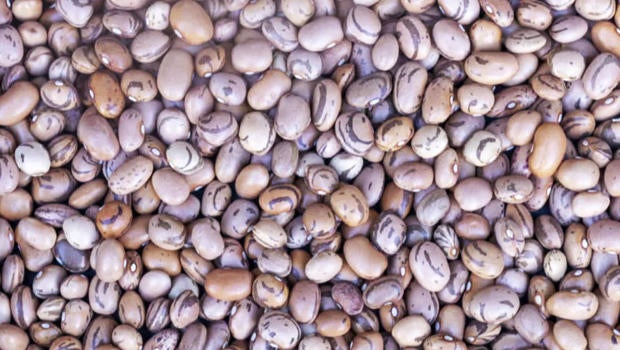 Heirloom beans, from Napa Valley to your mailbox - CBS News