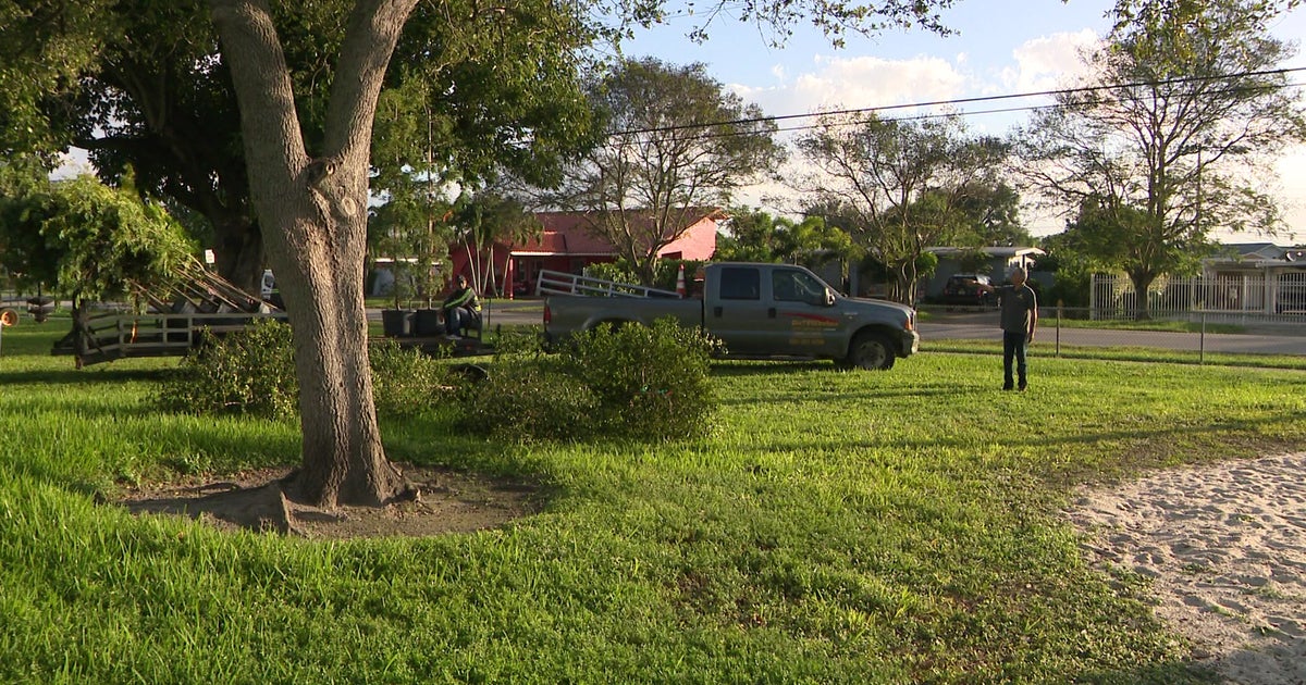 Miami Proud: 'Million Trees Miami Program' Makes The 305 Greener, One ...
